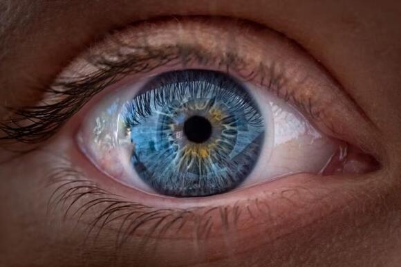 FDA Rejects Aldeyra's Dry Eye Drug For Third Time, Stock Crashes 68% ...