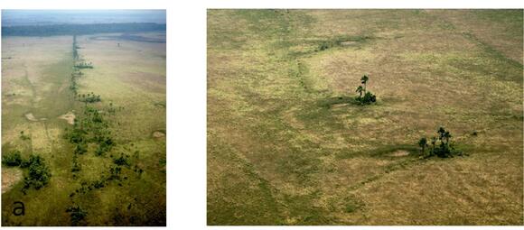 The Myth of “Empty” Jungle: What LiDAR Is Revealing About Pre-Colonial ...