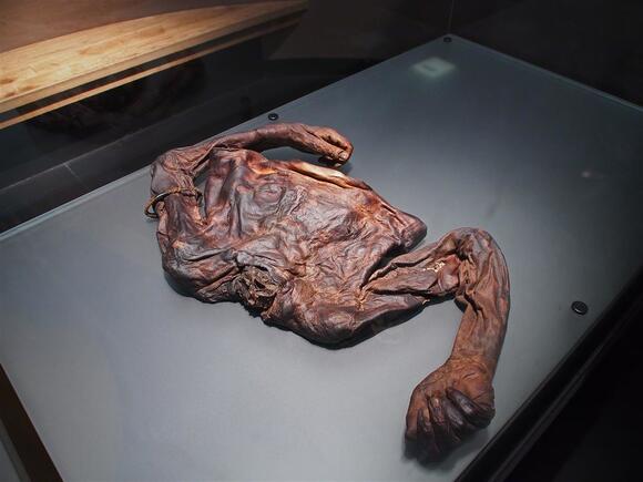 The Bog Bodies of Ireland: How Nature Perfectly Preserved Ancient ...
