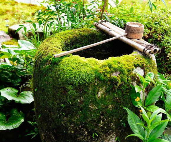 Garden Pros Say This Japanese Design Idea Is the Secret to a Calmer ...