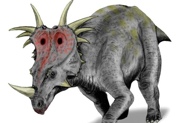 How Herbivores Navigated a World Full of Predators - NewsBreak