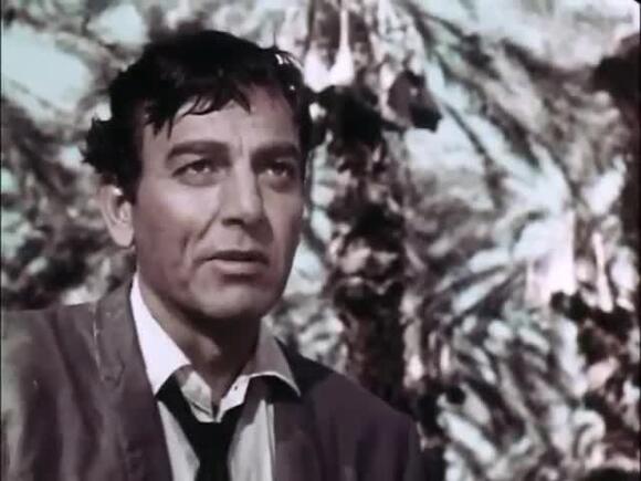 30 Forgotten Detective Shows of the 1970s & 1980s - NewsBreak