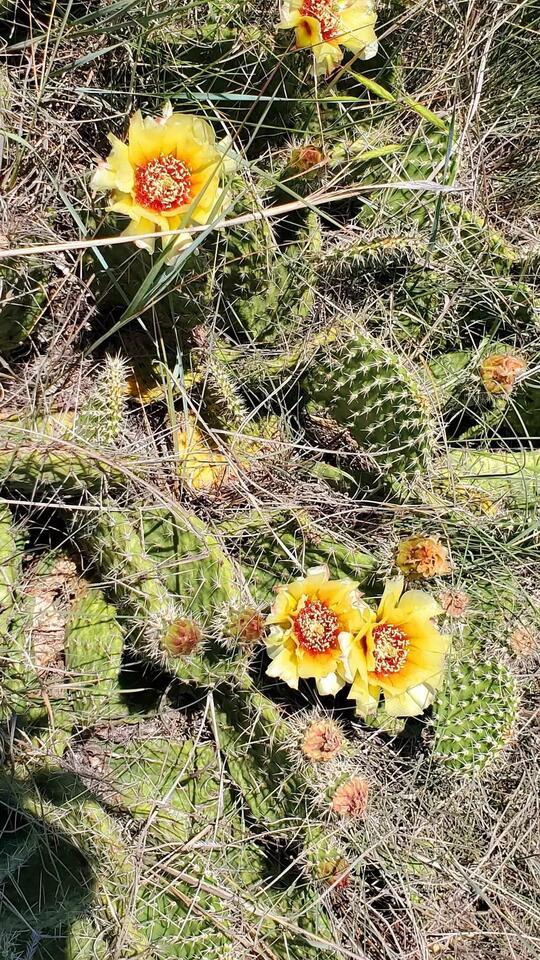 North Dakota Sees Sharp Drop In Serious Crimes - NewsBreak