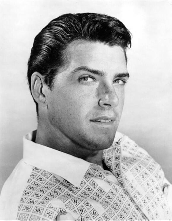 In Memory of Van Williams, TV's Original 'Green Hornet': 9 Years After ...