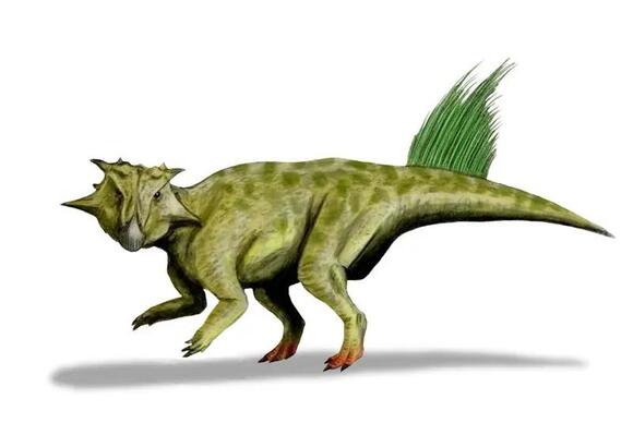 Beyond the Bones: 10 Surprising Discoveries About North America’s ...