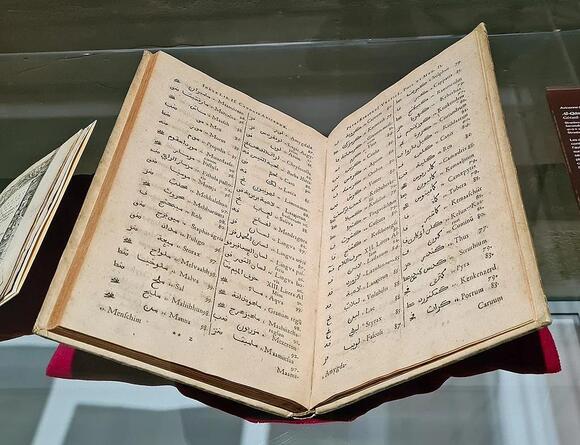 How Avicenna (Ibn Sina) Revolutionized Medicine with His “Canon of ...