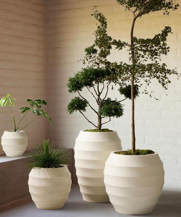 5 Trends in Container Planting for 2026 — These Designer-Approved Looks ...