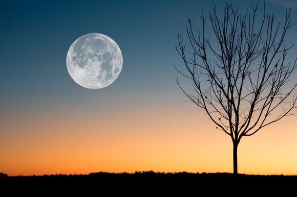 Get Ready For Wyoming’s Stunning Cold Moon Supermoon - NewsBreak