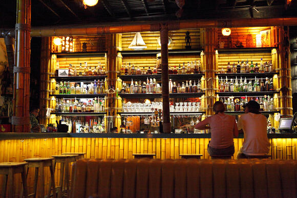 The Monkey That Stole Cocktails and Started Bar Fights - NewsBreak