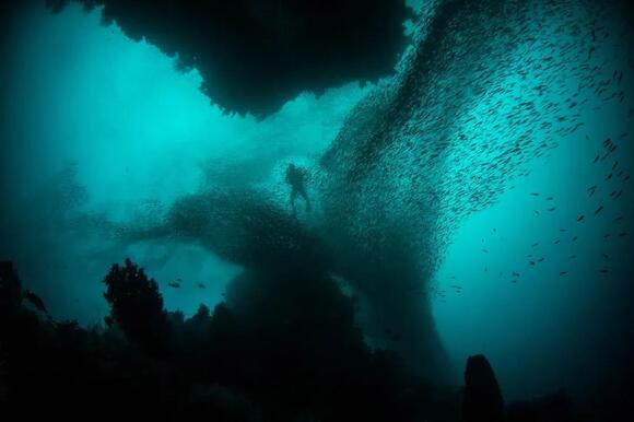 The Deep Ocean’s Best Kept Secrets: New Discoveries From the Abyss ...
