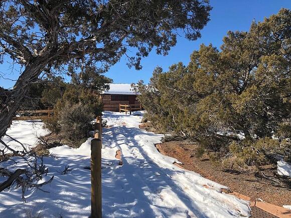 Fire Honey Is My Favorite Winter Comfort Remedy - NewsBreak