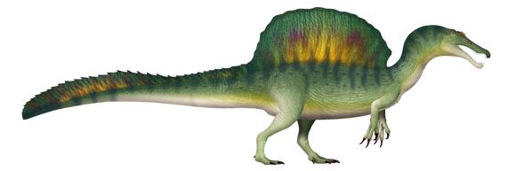 Could Dinosaurs Have Evolved Into Whales If They’d Survived? - NewsBreak