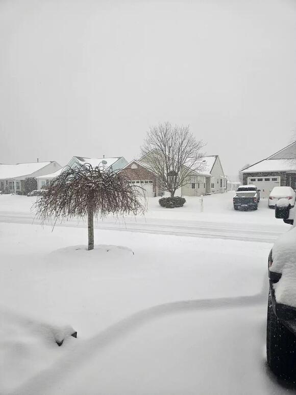 Incredible Icey Snow Pics - NewsBreak