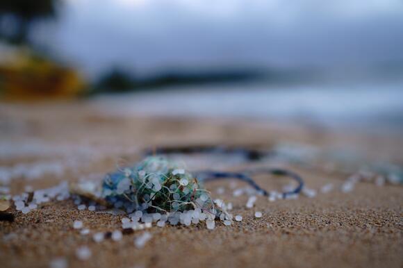 The Plastic Rain Phenomenon: Why Microplastics Are Falling From the Sky ...