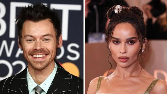 EXCLUSIVE: Harry Styles' Pals Warn Him to Pump the Brakes on Zoë ...