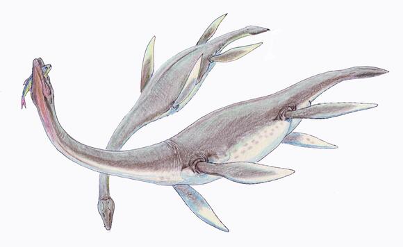 Plesiosaurs and Mosasaurs: Rivals Beneath the Waves - NewsBreak