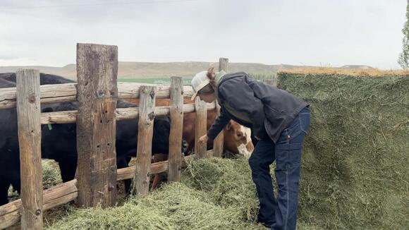 Farmers struggle to find field workers as many are ‘living in fear ...