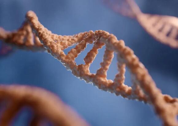 What DNA Analysis Has Revealed About Neanderthals That Completely ...