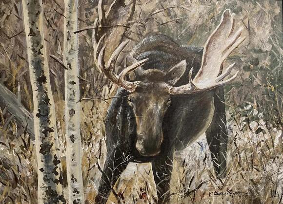 What surprised me most about Maine’s 2025 moose hunt results - NewsBreak