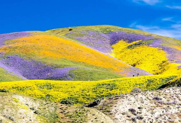 10 Amazing Natural Phenomena That Happen Only Once in a Lifetime ...