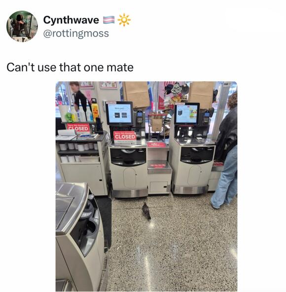 75 Dumb Pictures That Make Me Lose It Every Single Time - NewsBreak