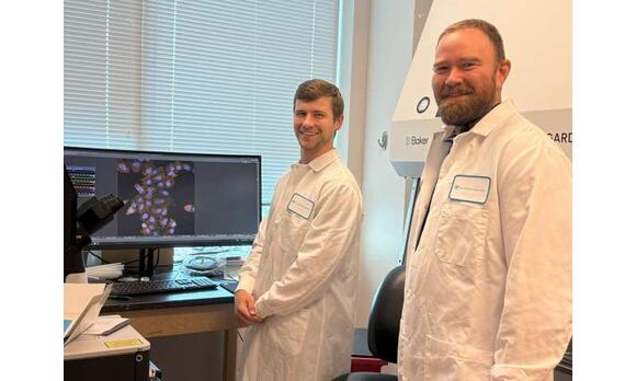 Powering down to survive viral attack: The steps cells take to thwart ...