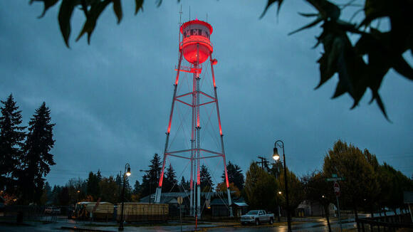 Yelm City Council to review appointment process after mayor pro tem ...