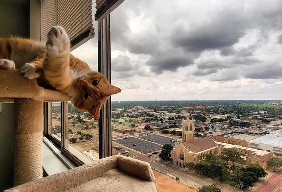 Why Lubbock’s Charm Lies In Its Simple, Everyday Moments - NewsBreak