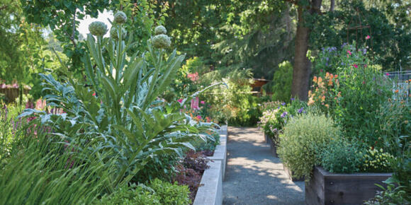 Do These Things Now to Have a Gorgeous Garden in Spring - NewsBreak