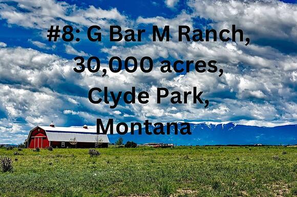 Bottom Line: Trump’s Beef Plan Not Popular In Montana - NewsBreak