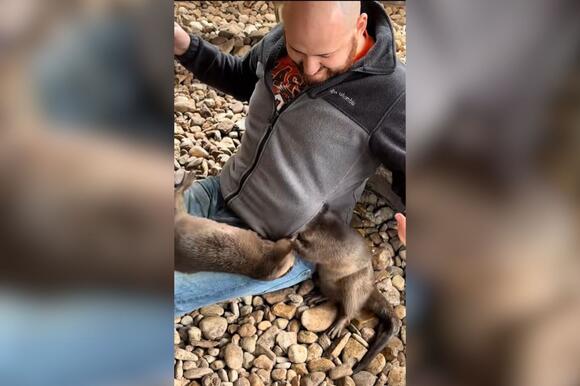 Texas Wildlife Park Otter Encounter is Pure Fun - NewsBreak