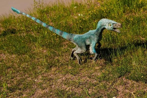 Raptor Revelations: 8 Ways Velociraptors Were Smarter Than You Think ...