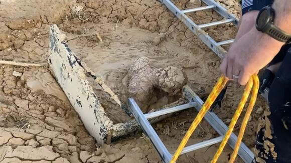 Released bodycam shows missing man found alive after 8 days buried up ...