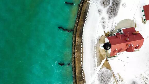 Michigan Is At Risk Of ‘Exploding Trees’ As Temperatures Plummet ...