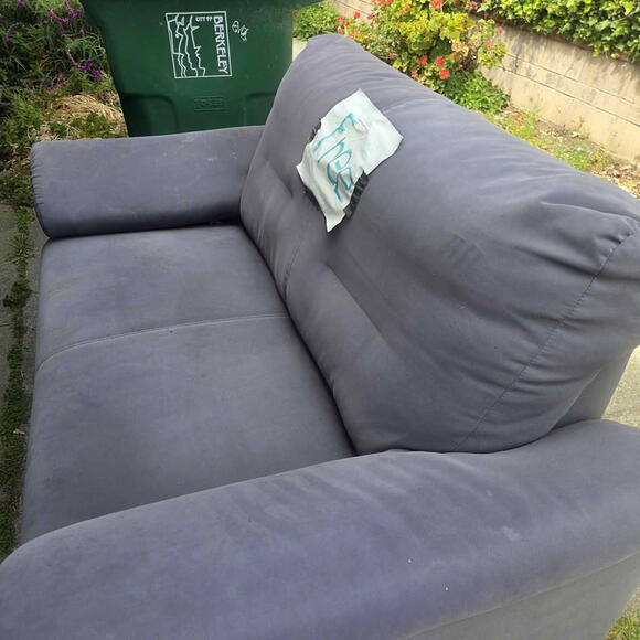 🎁 Freebies Up for Grabs in Berkeley — From Plants to Furniture - NewsBreak