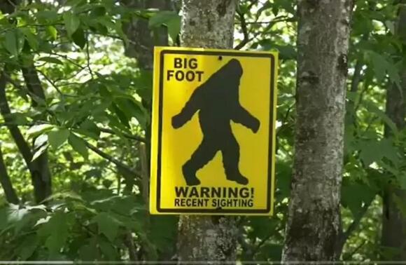 Texas Trucker Reports Shocking Bigfoot Sighting - NewsBreak