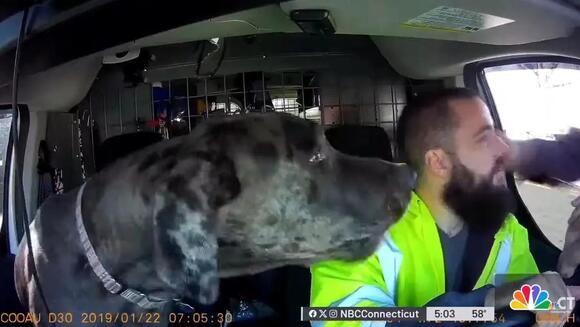 Off Duty Connecticut Cop Punches Driver In Traffic For Honking At Him