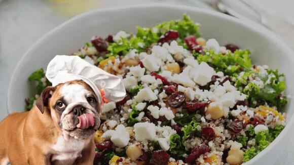 20 Drool Worthy Homemade Recipes for Your Dog - NewsBreak