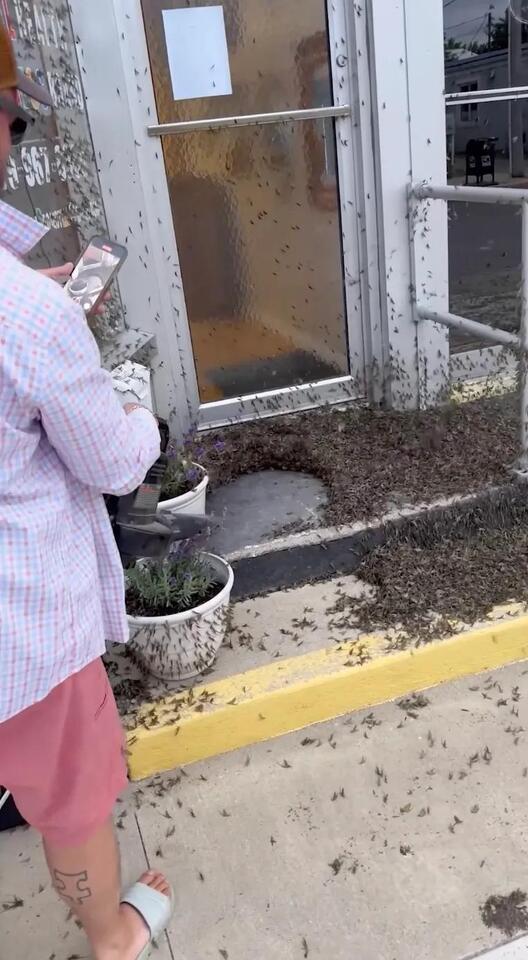 Ohioans use wind blowers and snowplows to clear ‘trillions’ of dead ...