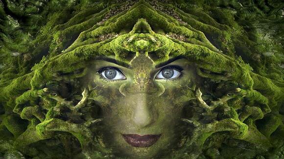 The Question About Consciousness That Keeps Returning After Every ...