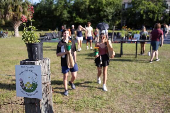 UF/IFAS Native Plant Sale returns to campus this weekend - NewsBreak