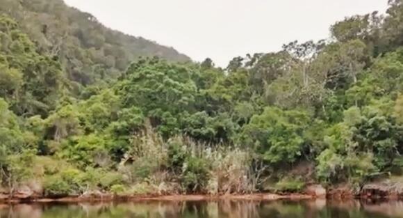 Artist Bevan van Druten Faces Murder Charges In Ex-Cop’s Death - NewsBreak