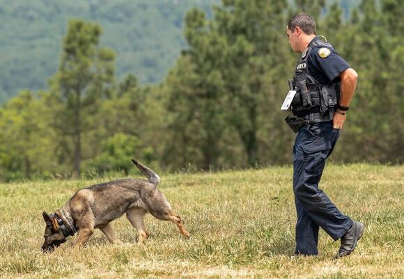 The Chattanooga Police Department’s K9 Unit achieved remarkable success ...