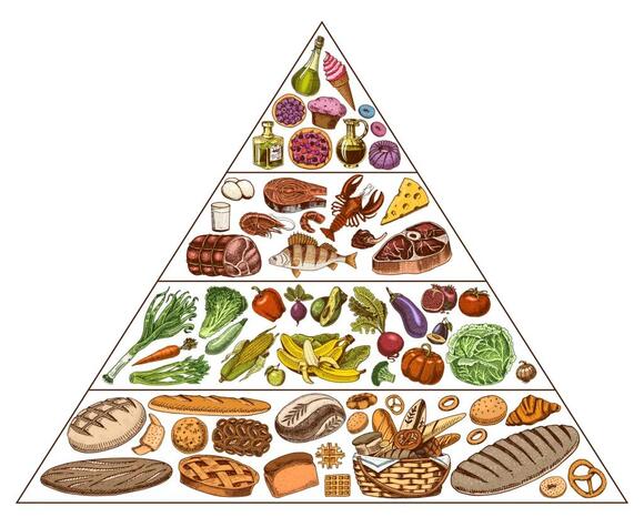 New Food Pyramid Vs. The Old: Complete Comparison Guide For 2026 ...