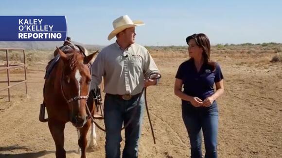 Take an inside look at Arizona's first Buc-ee’s, opening soon in ...