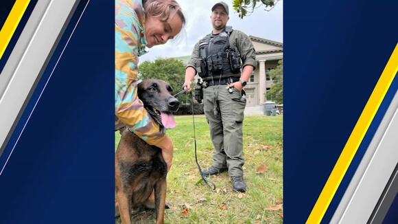 Annual Walk in Durham raises money for homeless, neglected animals ...