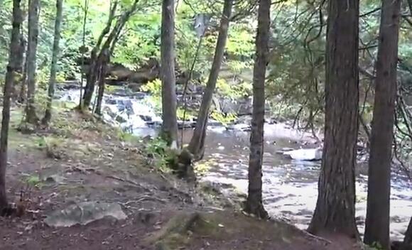 Michigan’s Most Scenic Road Packs a Dangerous Punch - NewsBreak