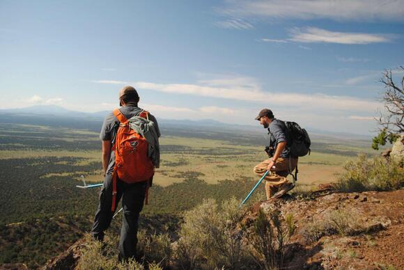 How Filmmakers Capture Elusive Animals on Camera - NewsBreak