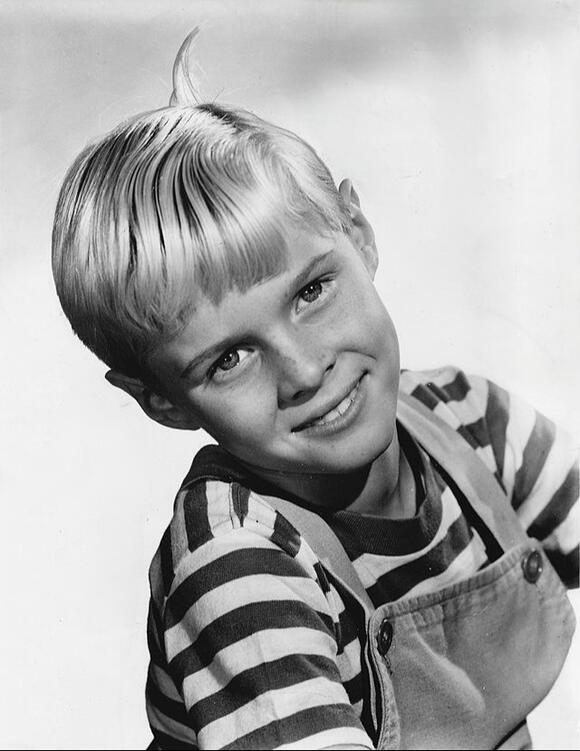 The Tragic Truth of How Jay North ('Dennis the Menace') Died: A Former ...