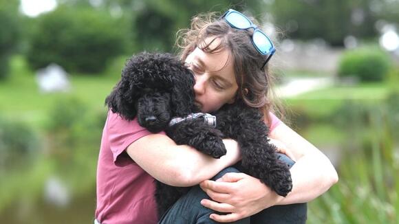12 Dog Breeds That Sense When You’re Sad and 4 That Have No Idea ...